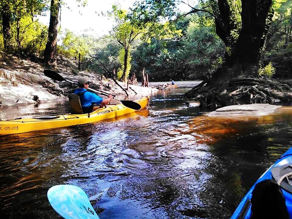 WWALS June 28 on Little River @ GA 133 | WWALS Watershed Coalition ...