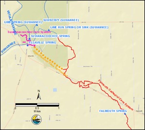Springs flow under the Suwannee River next to the Withlacoochee River ...