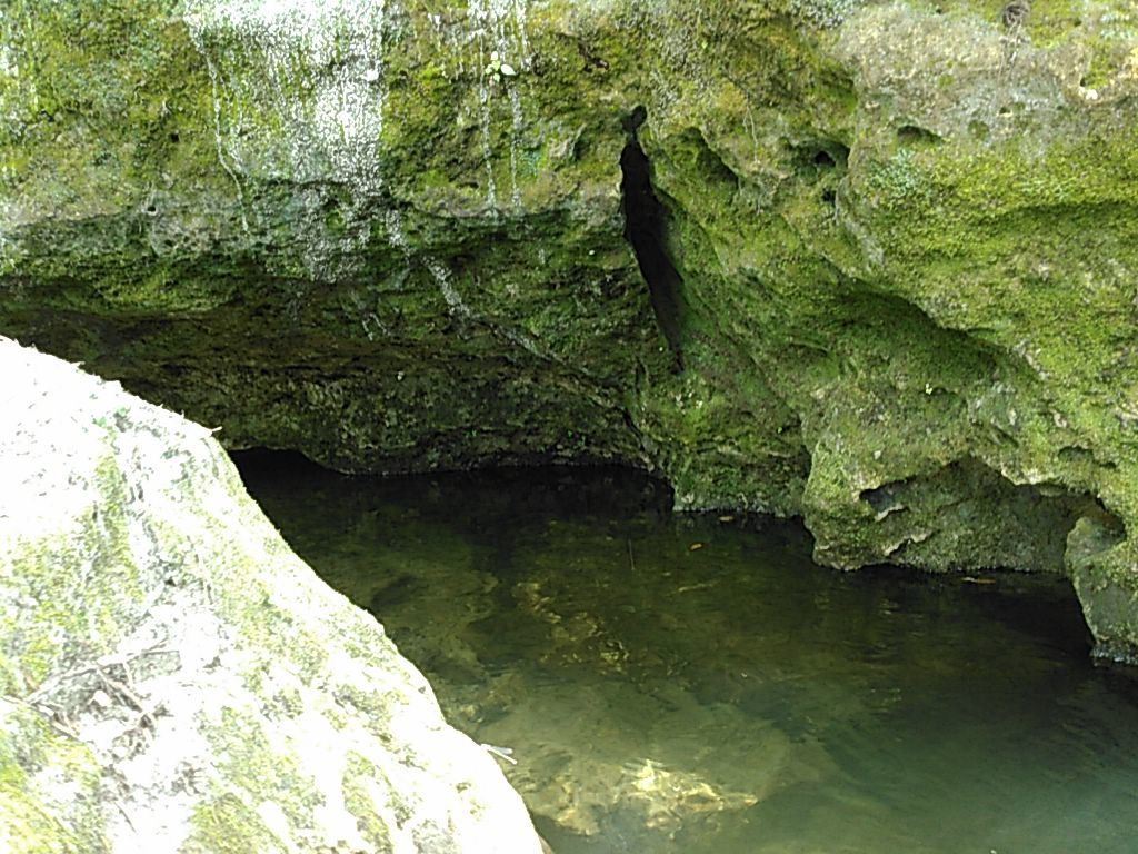 Pictures and videos from Alapaha Rise, Sabal Trail pipeline, Five Holes ...