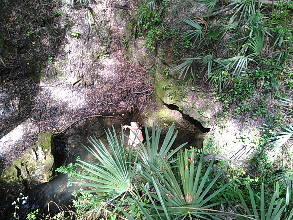 Pictures and videos from Alapaha Rise, Sabal Trail pipeline, Five Holes ...