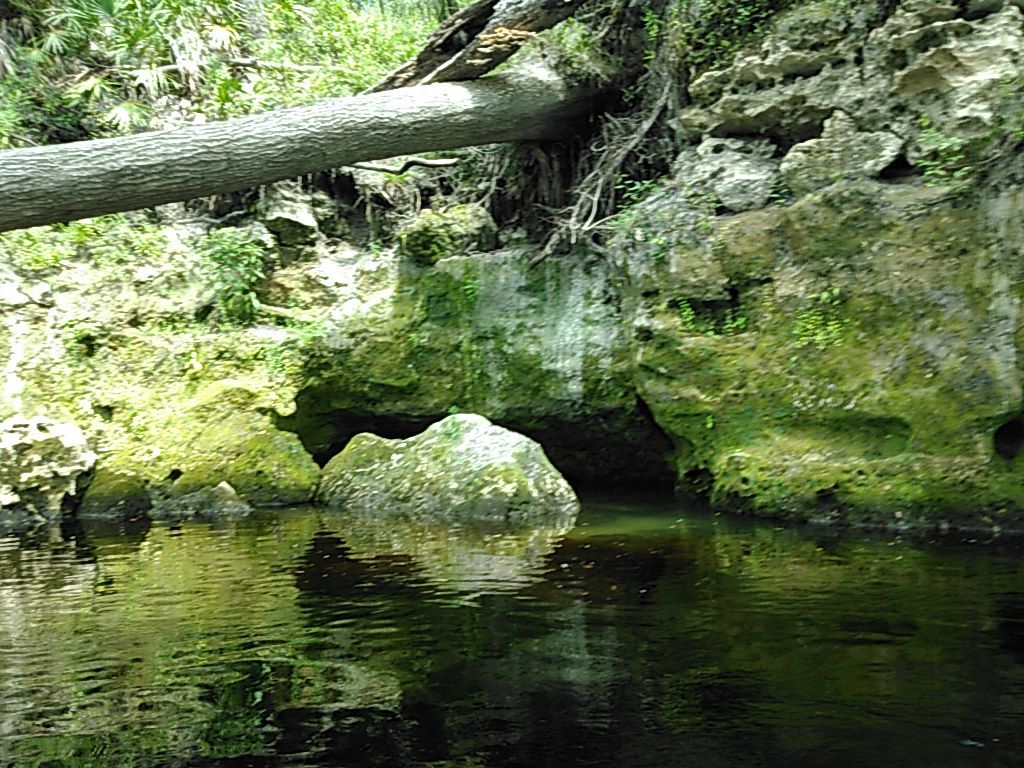 Pictures and videos from Alapaha Rise, Sabal Trail pipeline, Five Holes ...