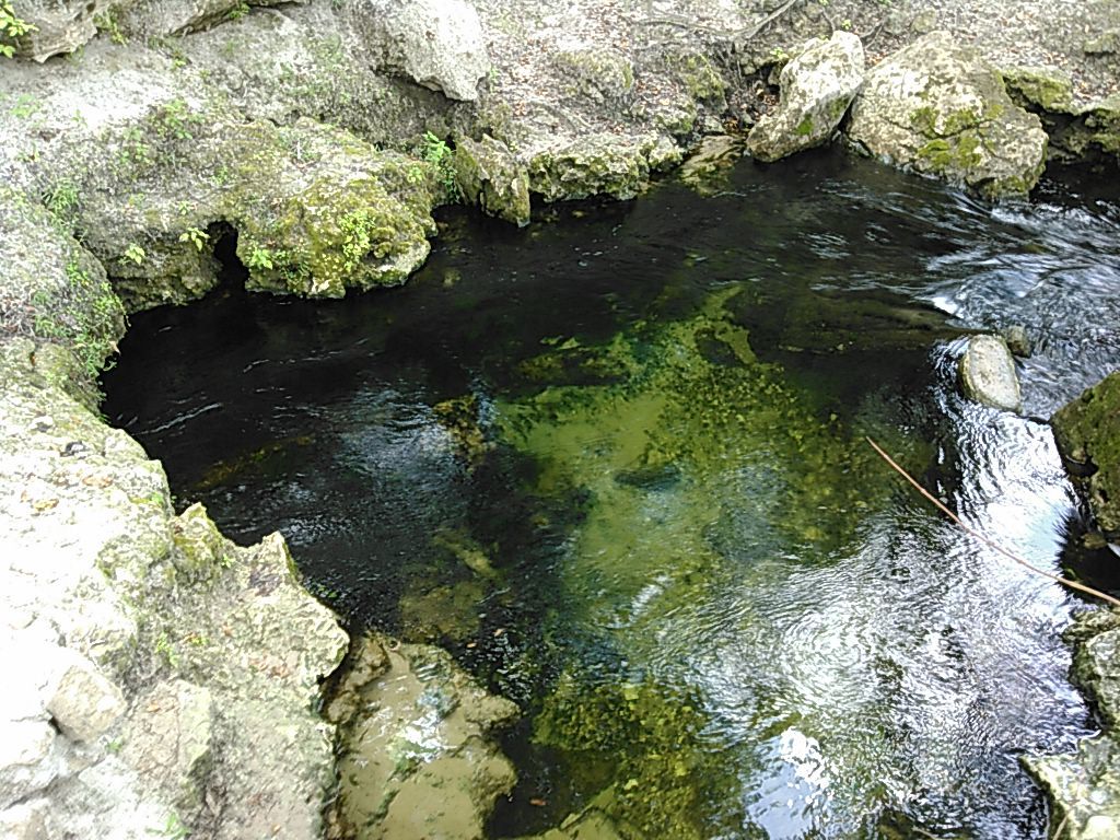 Pictures and videos from Alapaha Rise, Sabal Trail pipeline, Five Holes ...