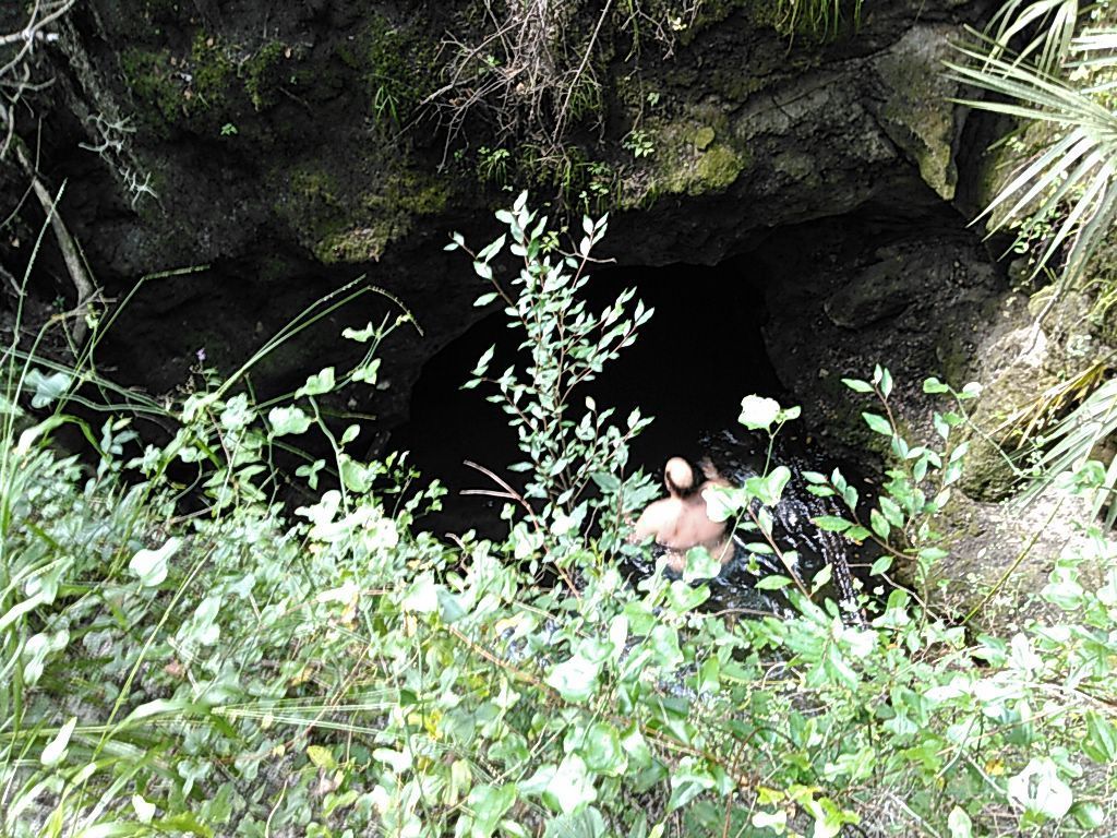 Pictures and videos from Alapaha Rise, Sabal Trail pipeline, Five Holes ...