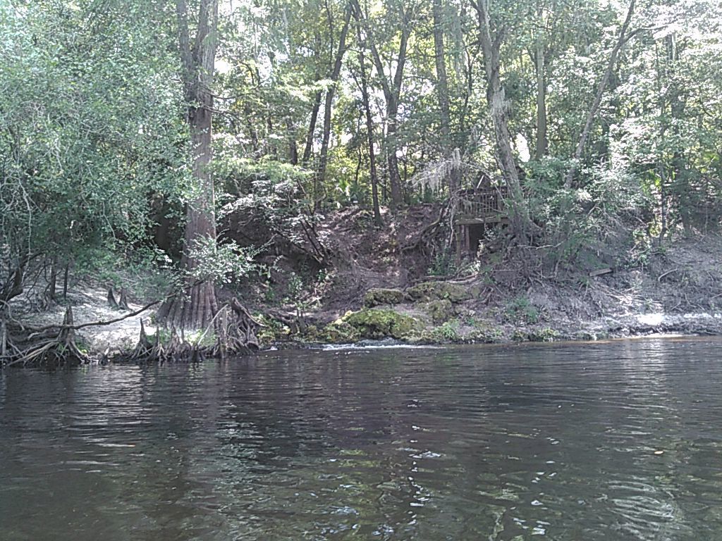 Pictures and videos from Alapaha Rise, Sabal Trail pipeline, Five Holes ...