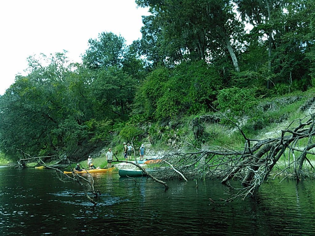 Pictures and videos from Alapaha Rise, Sabal Trail pipeline, Five Holes ...