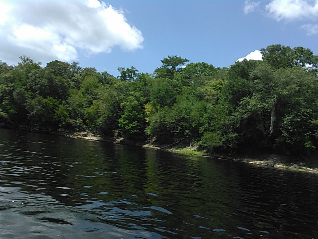 Pictures and videos from Alapaha Rise, Sabal Trail pipeline, Five Holes ...