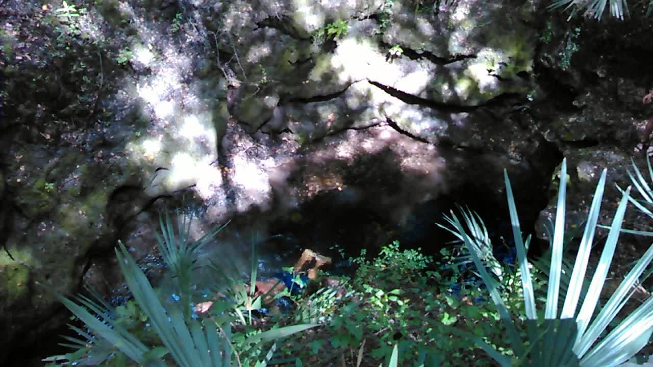 Pictures and videos from Alapaha Rise, Sabal Trail pipeline, Five Holes ...