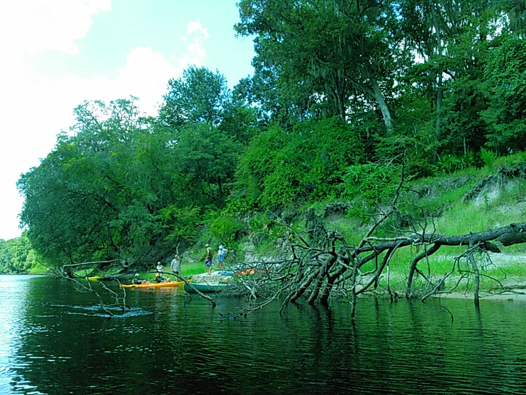 Pictures and videos from Alapaha Rise, Sabal Trail pipeline, Five Holes ...