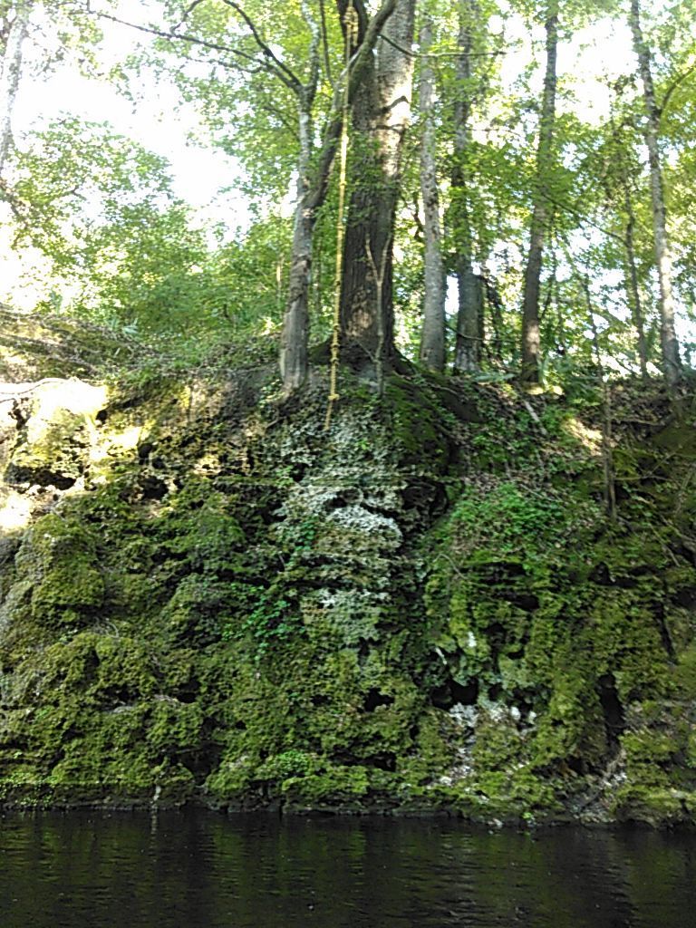 Pictures and videos from Alapaha Rise, Sabal Trail pipeline, Five Holes ...