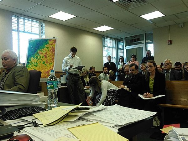 Eulogy for Christopher Stone: Should Trees have Standing? 2021-05-19 ...