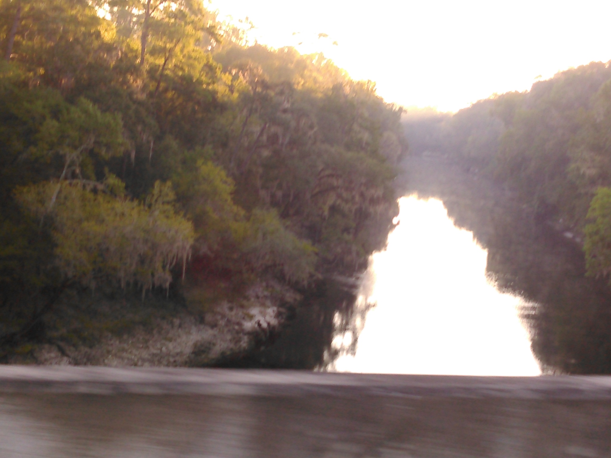Suwannee River | WWALS Watershed Coalition (WWALS) is Suwannee RIVERKEEPER®