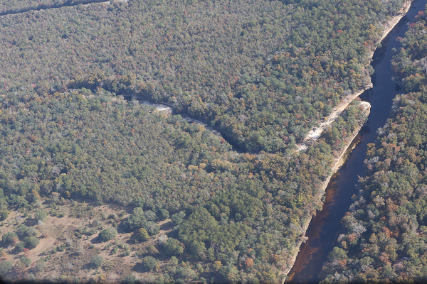 Aerials: Dry Alapaha River and the Alapaha Rise 2016-11-23 | WWALS ...