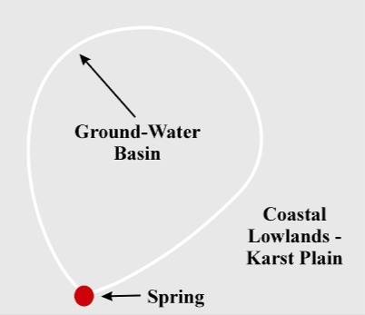 Alapaha Rise | WWALS Watershed Coalition (WWALS) is Suwannee RIVERKEEPER®