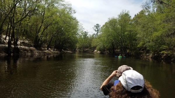 WMA in Lanier and Lowndes Counties | WWALS Watershed Coalition (WWALS ...