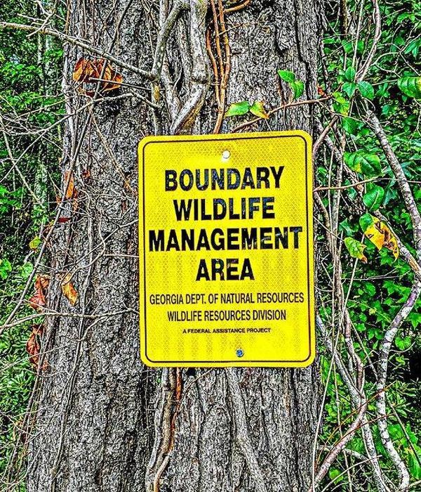 WMA in Lanier and Lowndes Counties | WWALS Watershed Coalition (WWALS ...