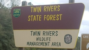 Twin Rivers State Forest | WWALS Watershed Coalition (WWALS) is ...