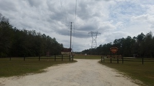 Twin Rivers State Forest | WWALS Watershed Coalition (WWALS) is ...