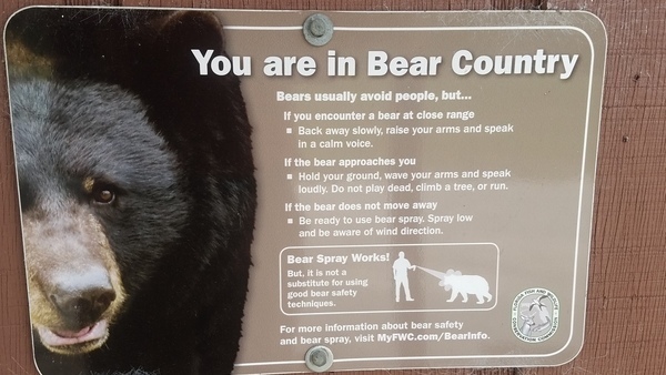 Twin Rivers State Forest | WWALS Watershed Coalition (WWALS) is ...