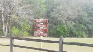 Twin Rivers State Forest | WWALS Watershed Coalition (WWALS) is ...