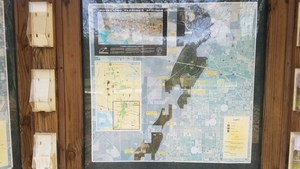 Twin Rivers State Forest | WWALS Watershed Coalition (WWALS) is ...