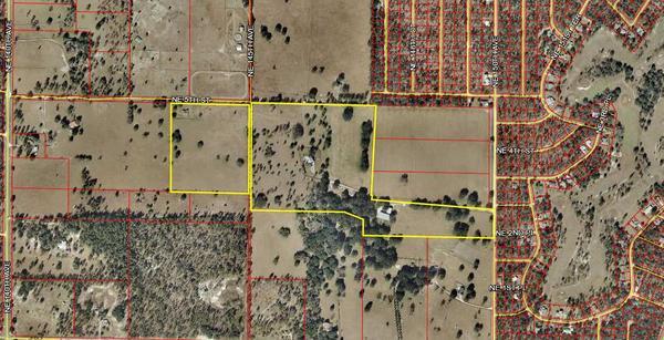 Levy Co., FL, ranch invaded by Sabal Trail’s invasive weeds | WWALS ...