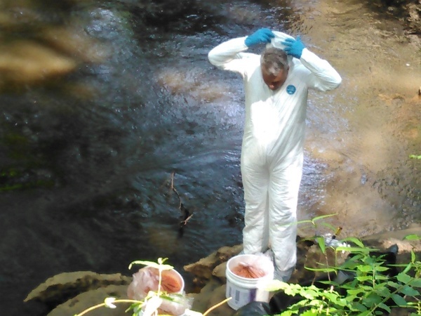 Alapaha Rise | WWALS Watershed Coalition (WWALS) is Suwannee RIVERKEEPER®