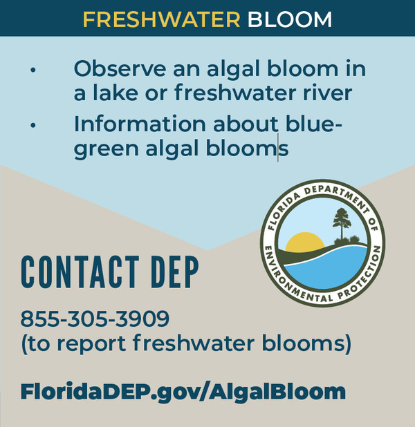 Florida Algal Bloom Maps 2019-06-01 | WWALS Watershed Coalition (WWALS ...